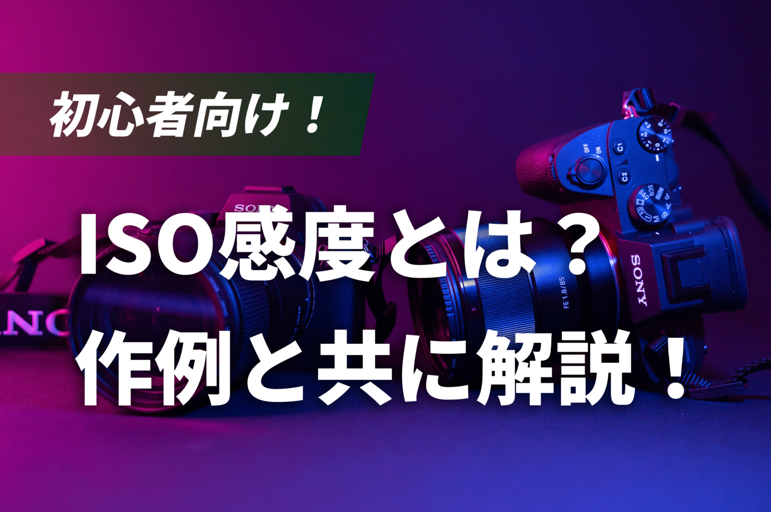 【カメラ】ISO感度とは？ | カメラの基本を初心者向けに解説！！ | Euphoric " " (ユーホリック)